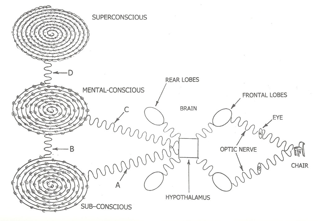 The Psychic Anatomy Development Concept ~ Part II - Unariun Wisdom